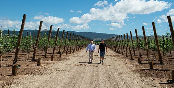 Rural Finance Agribusiness Banking | Rabobank NZ