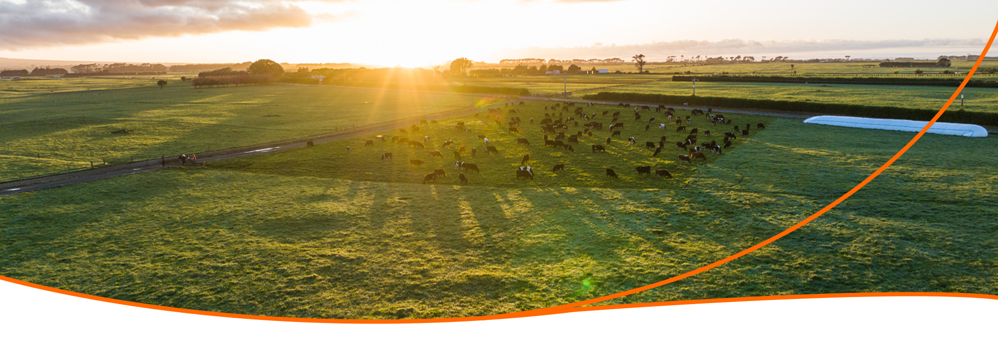 onboarding application ros banner