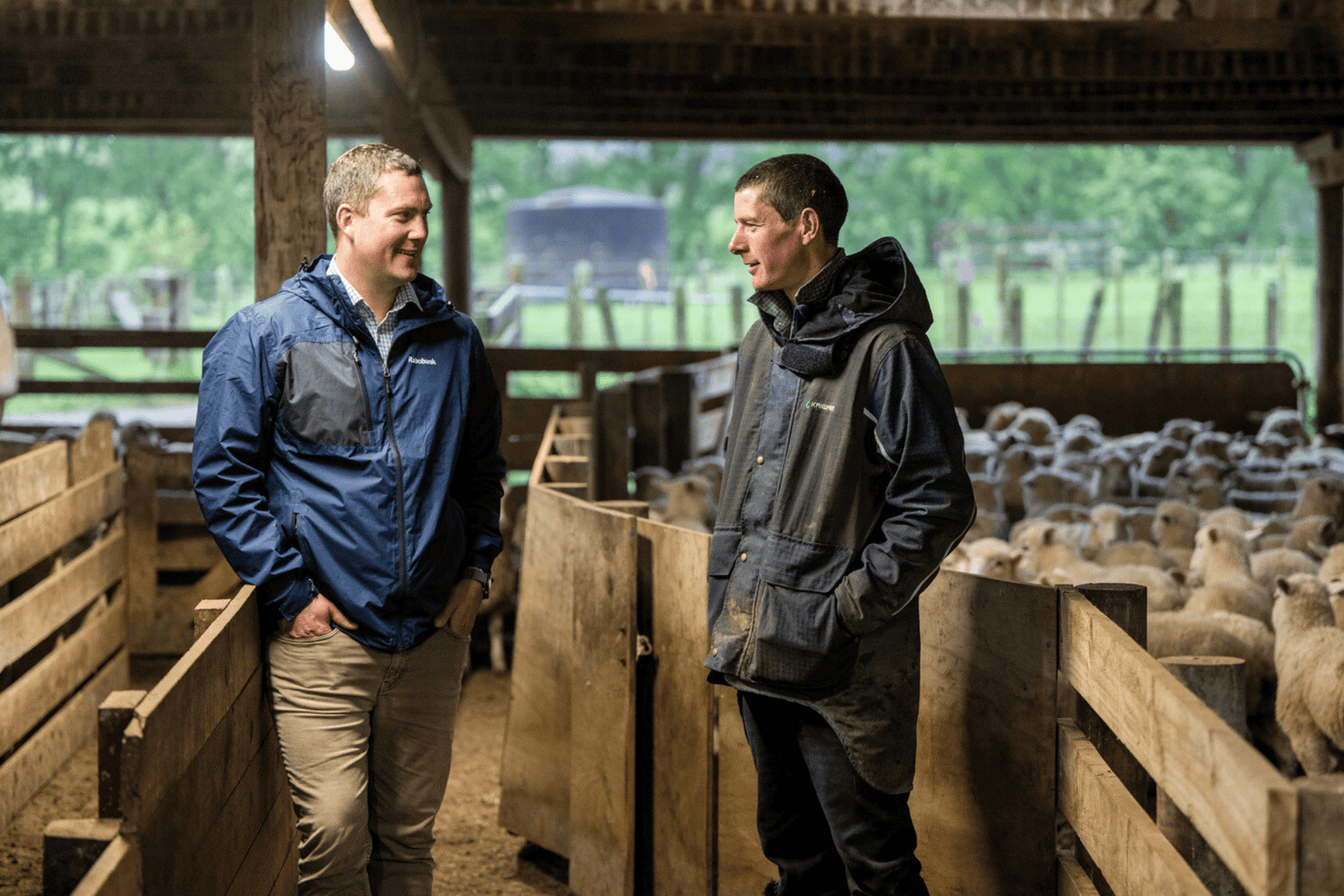 Rural Transaction & Loan Facility | Rabobank NZ