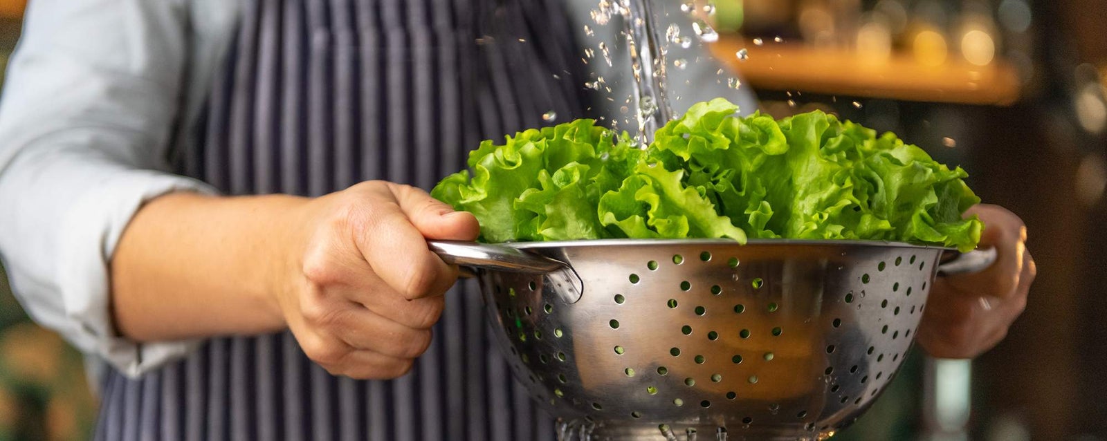 Increase your lettuce life-span