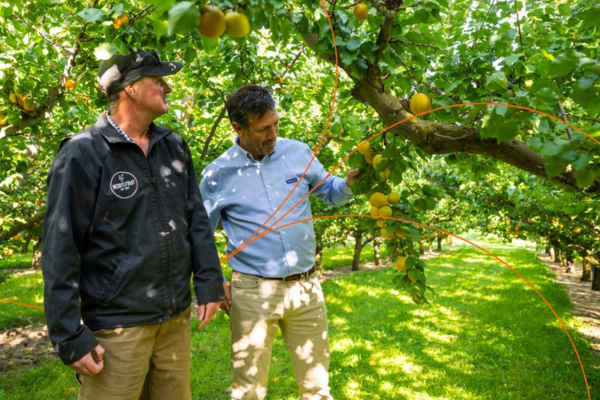 Rabobank and BCG2 grow together