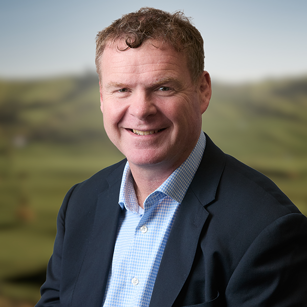 Rabobank New Zealand Group 2023 results