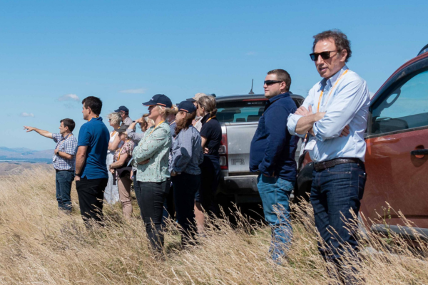 Agribusiness Banking | Rabobank NZ