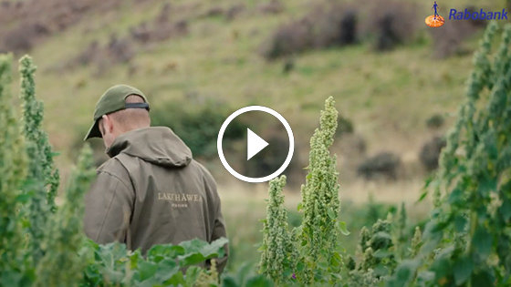 NZ First Carbon Zero Farm