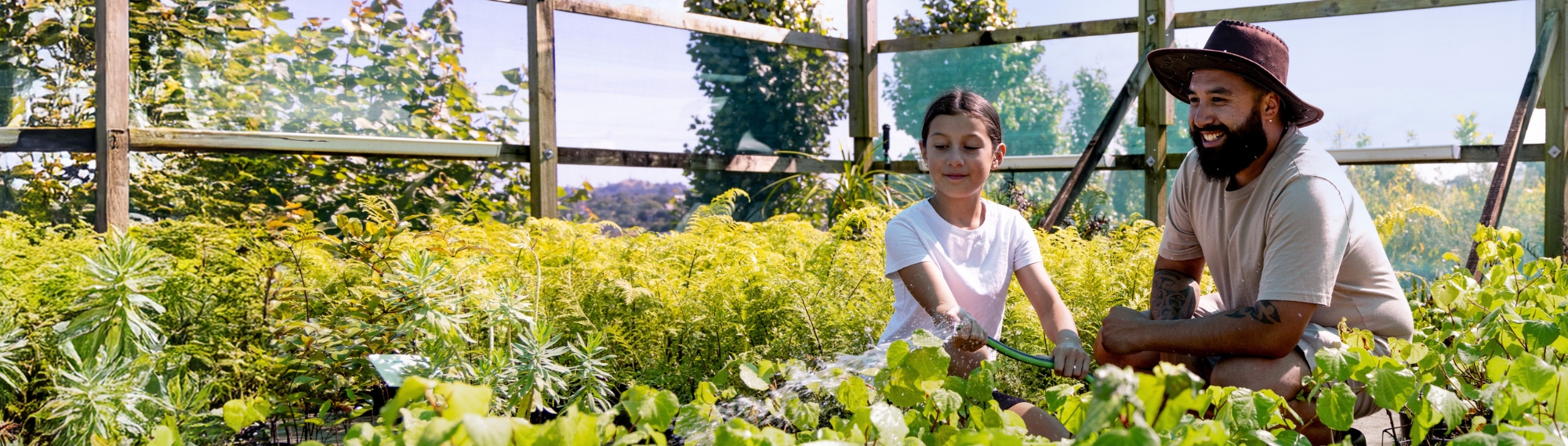 Term Deposits | Rabobank Online Savings