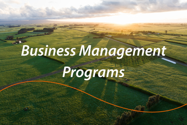 Business Management Programs