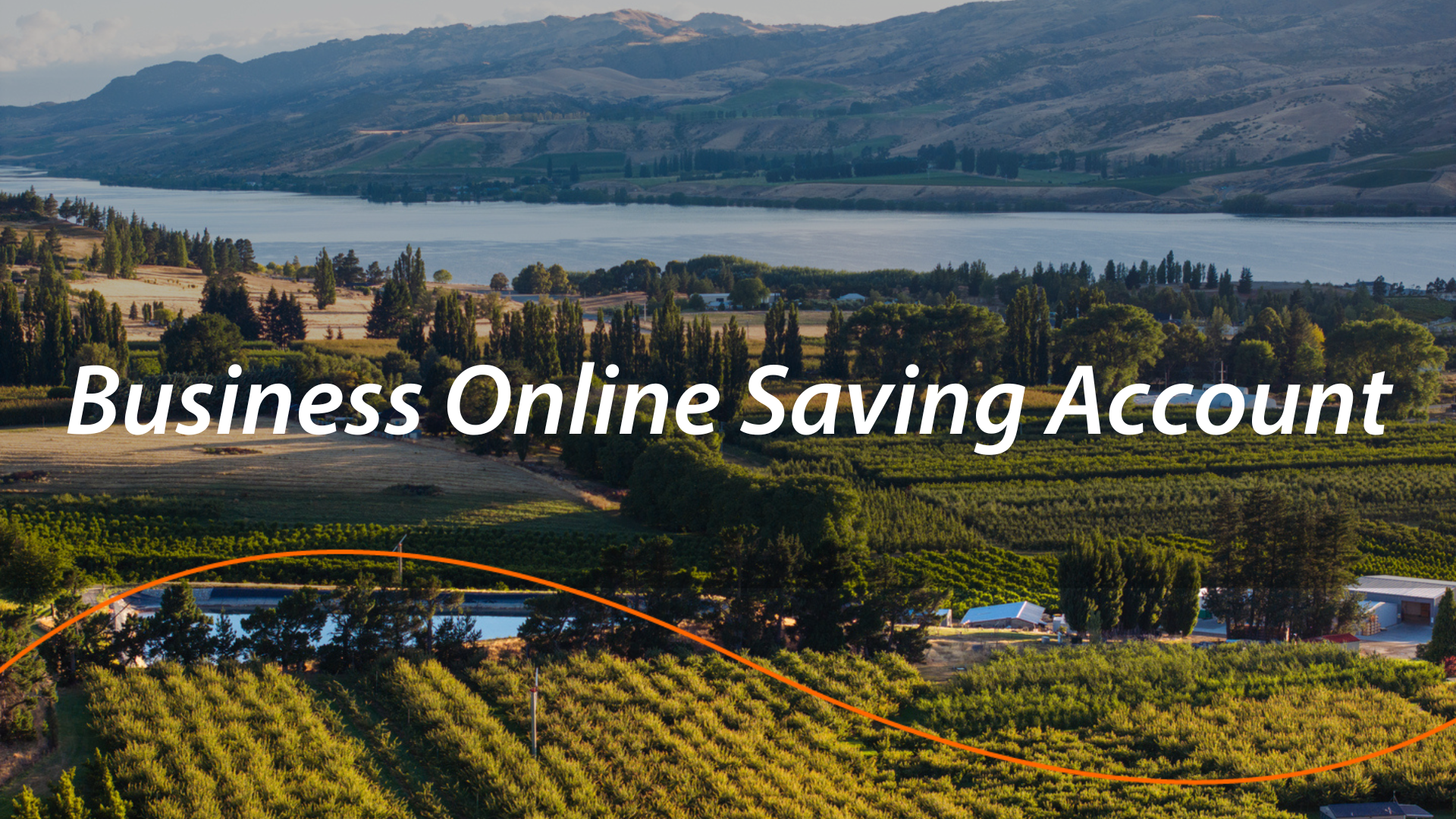Business Accounts | Rabobank Online Savings