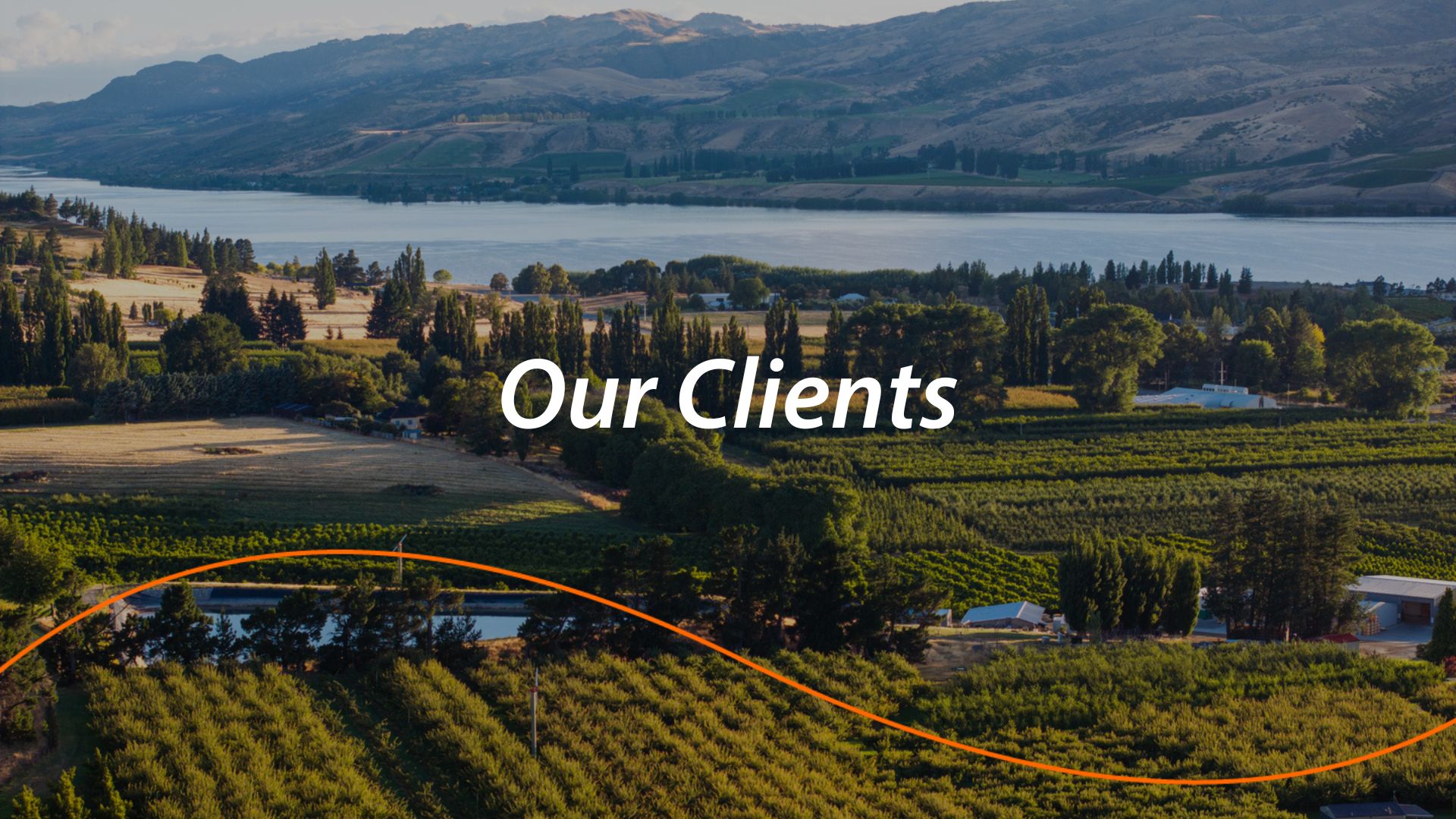 Our Clients