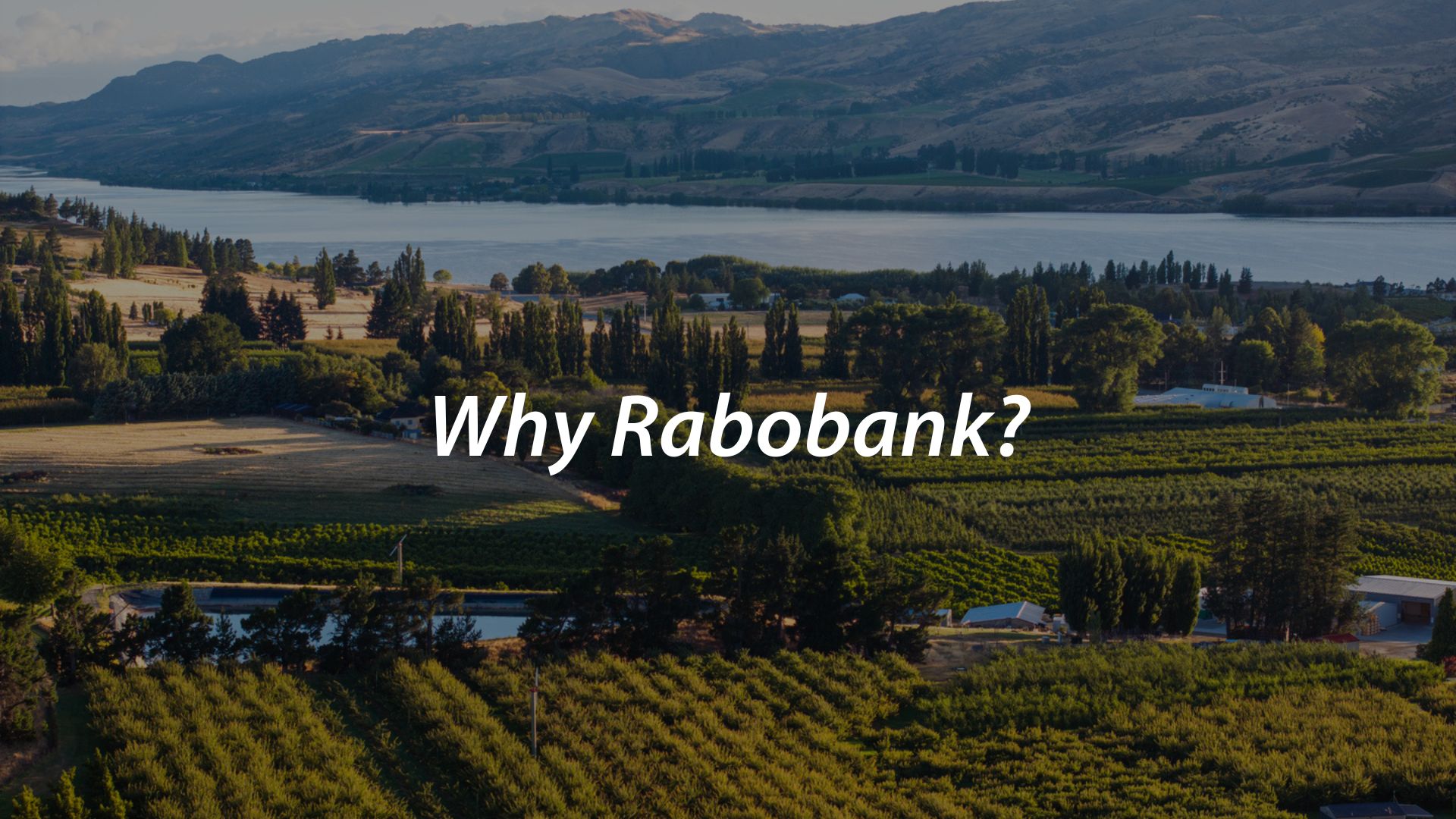 Why Rabobank